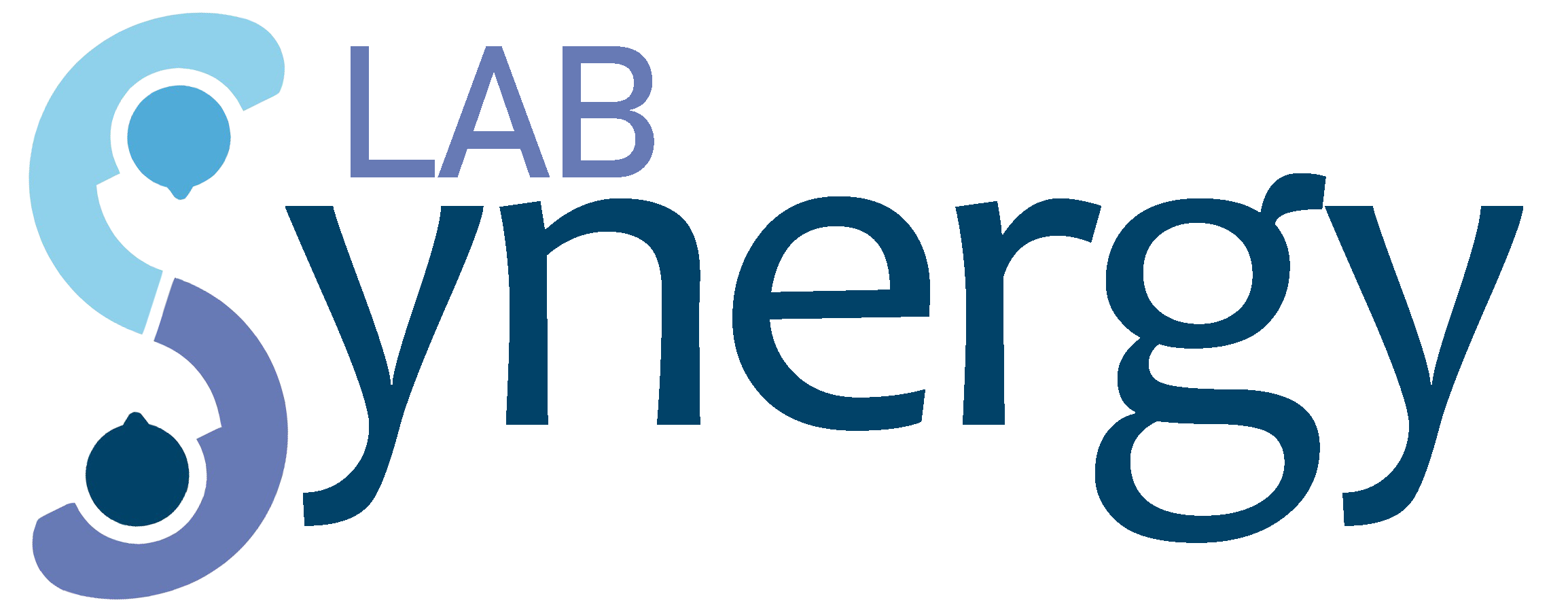 Labsynergy