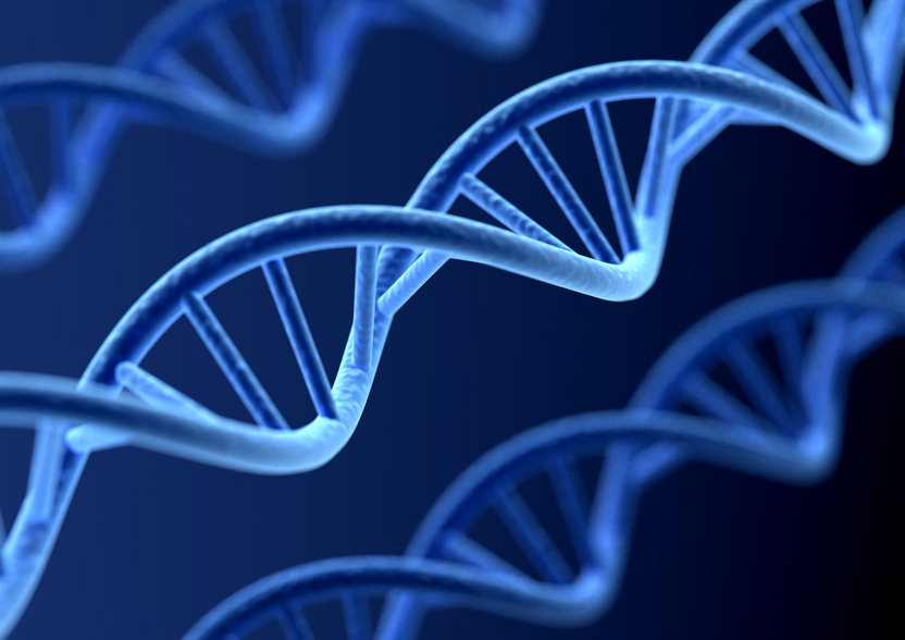 Reproductive Sciences Labsynergy