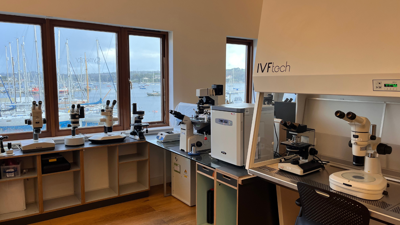 Brands – Labsynergy