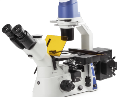 Oxion - Inverted Microscope – Labsynergy